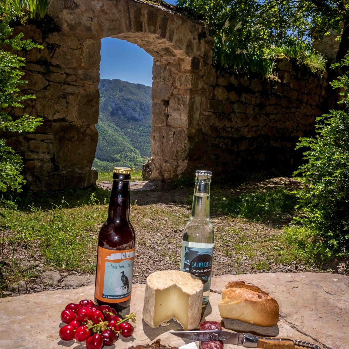Aerial hike to the troglodyte villages of the Gorges du Tarn | Explore ...
