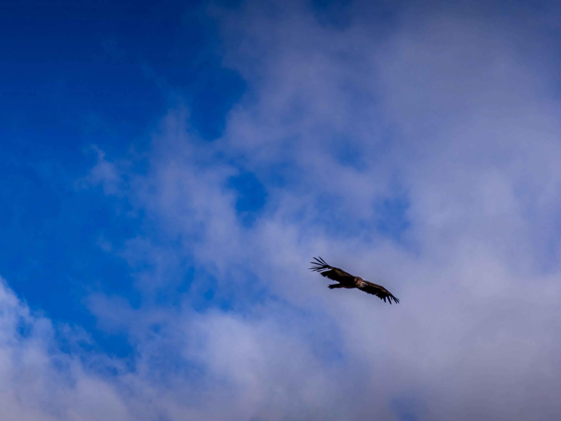 The best photo spots in the Gorges du Tarn et de la Jonte | Explore Millau
