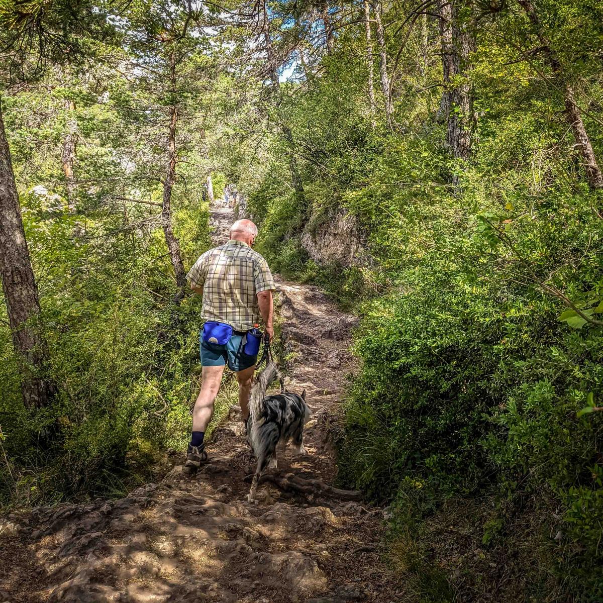 Canine adventure in the cité de pierres | Explore Millau