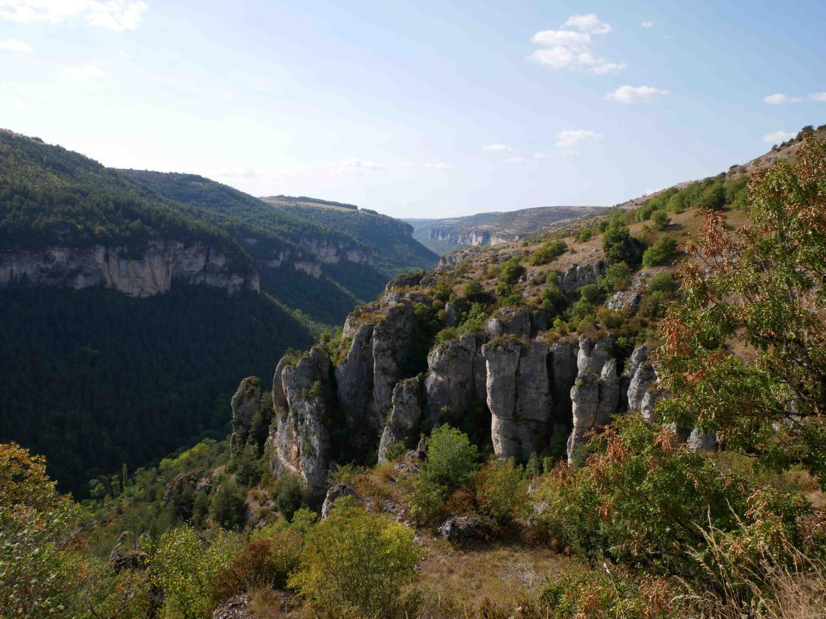 The best photo spots in the Gorges du Tarn et de la Jonte | Explore Millau
