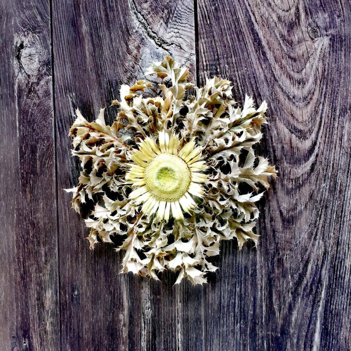 The fortified town of la couvertoirade, one of france’s most beautiful ...