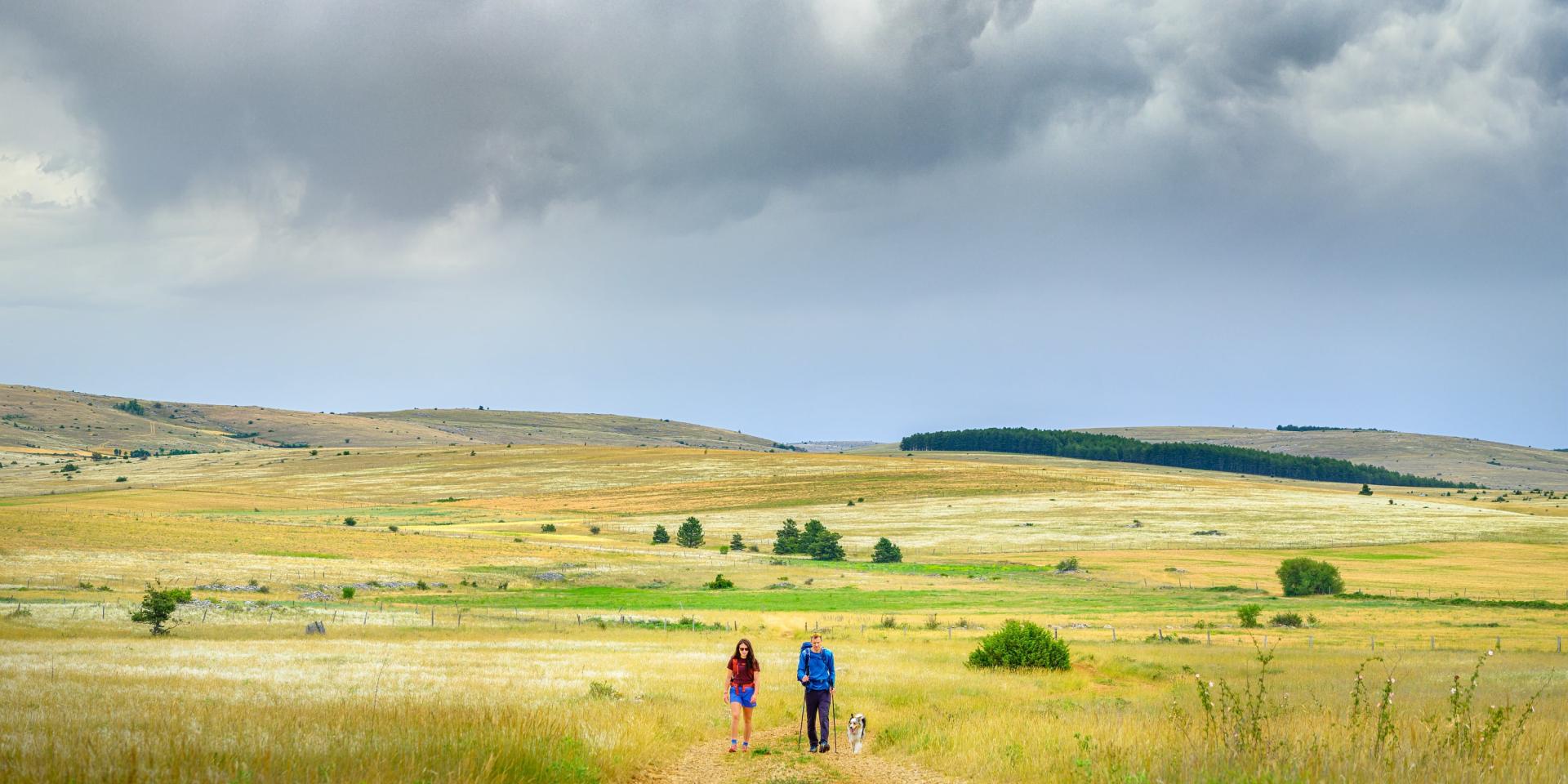 Grandes itinérances- GR736® Gorges et Vallée du Tarn – GR71 | Explore Millau